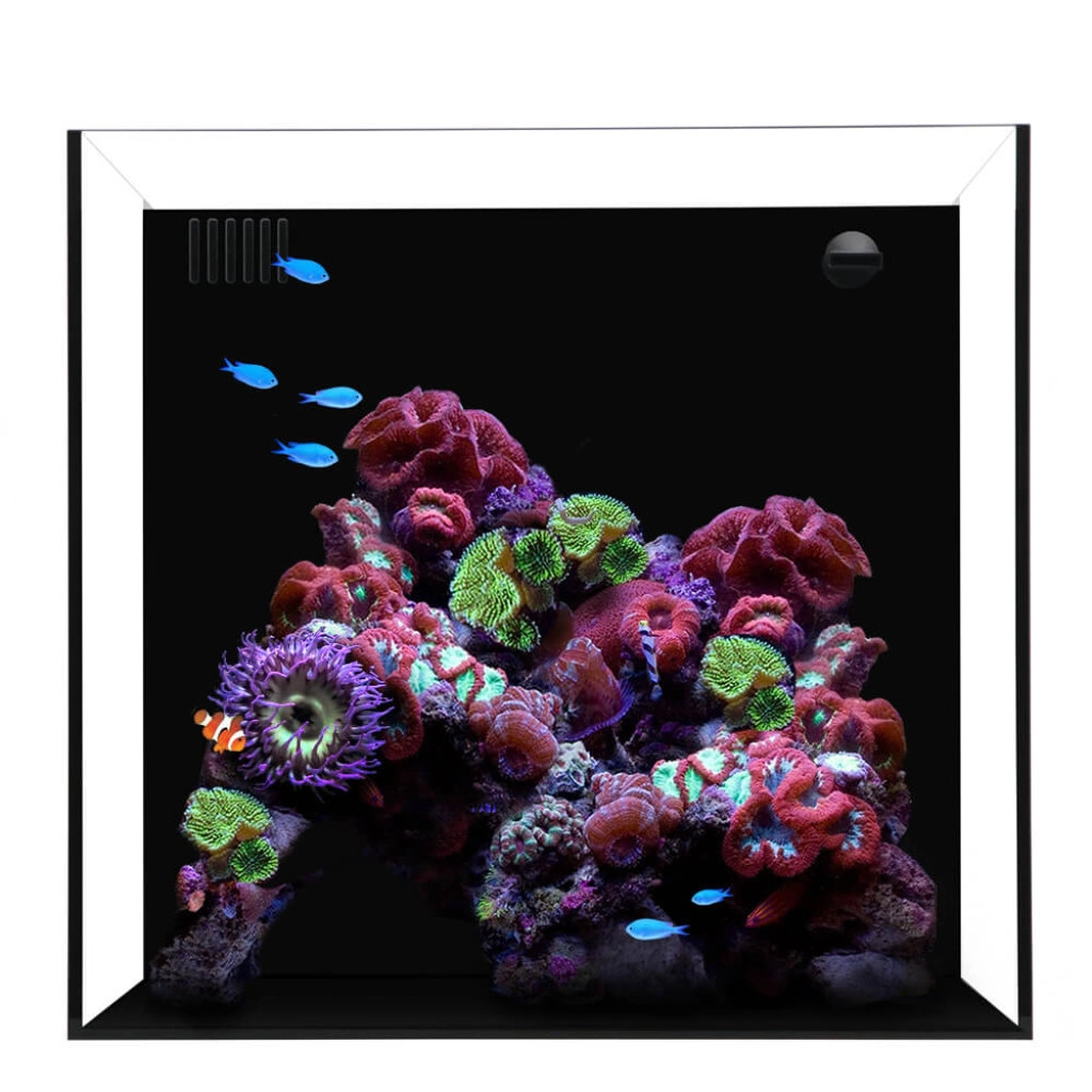 Waterbox Cube 15